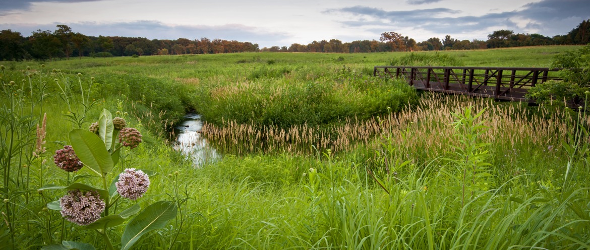 Torus Removal, Tori Removal Surgery, Mandibular Tori Removal